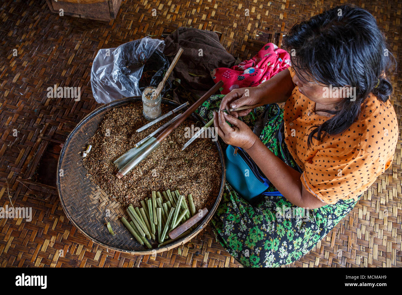 Adult woman sitting indoors and rolling traditional cheroot cigars hi ...