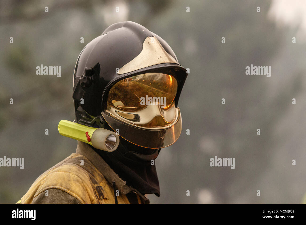 Maceda, Galicia / Spain - Oct 16 2017: Fireman in forest fire Stock ...
