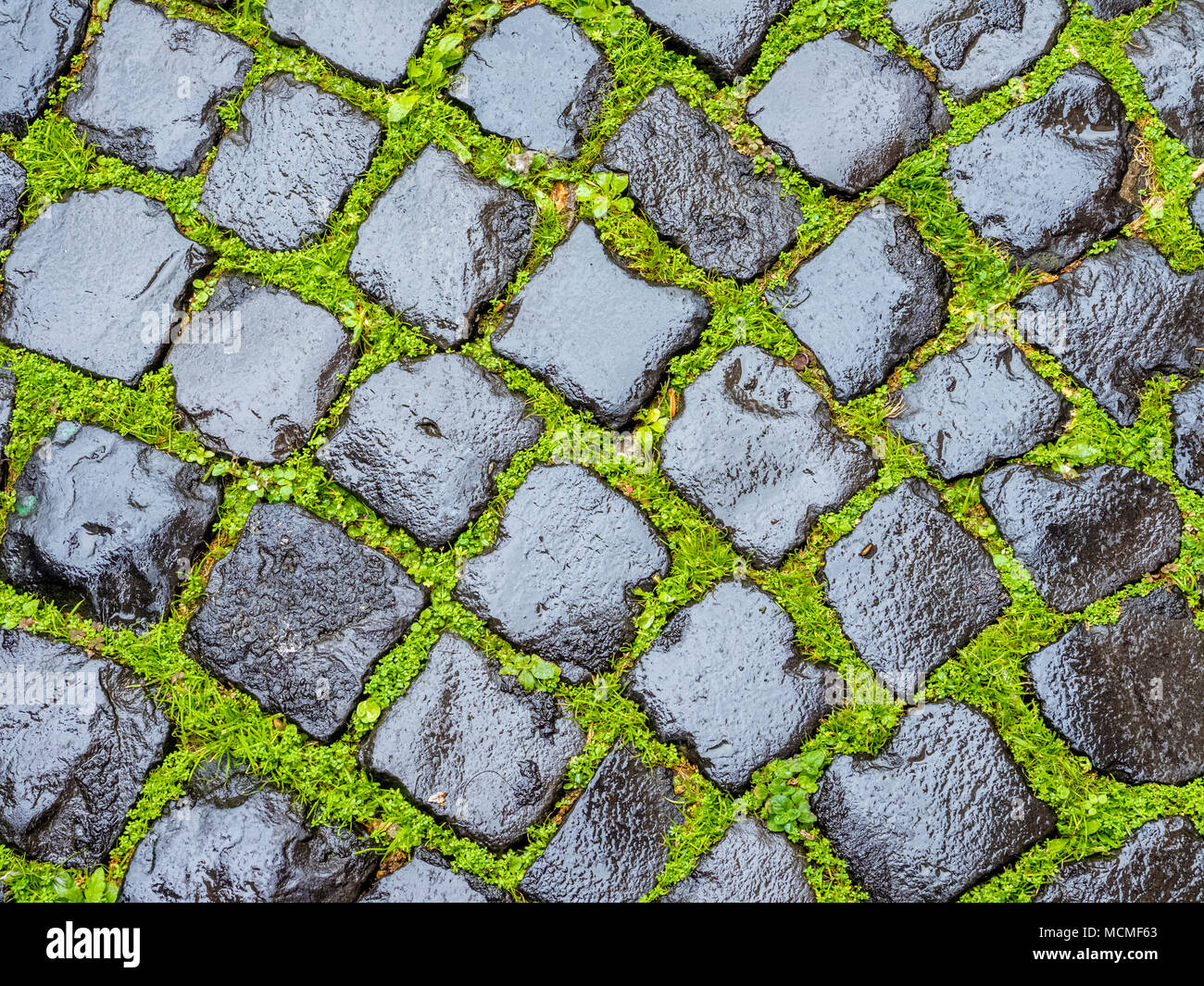 Mossy pavement hi-res stock photography and images - Alamy