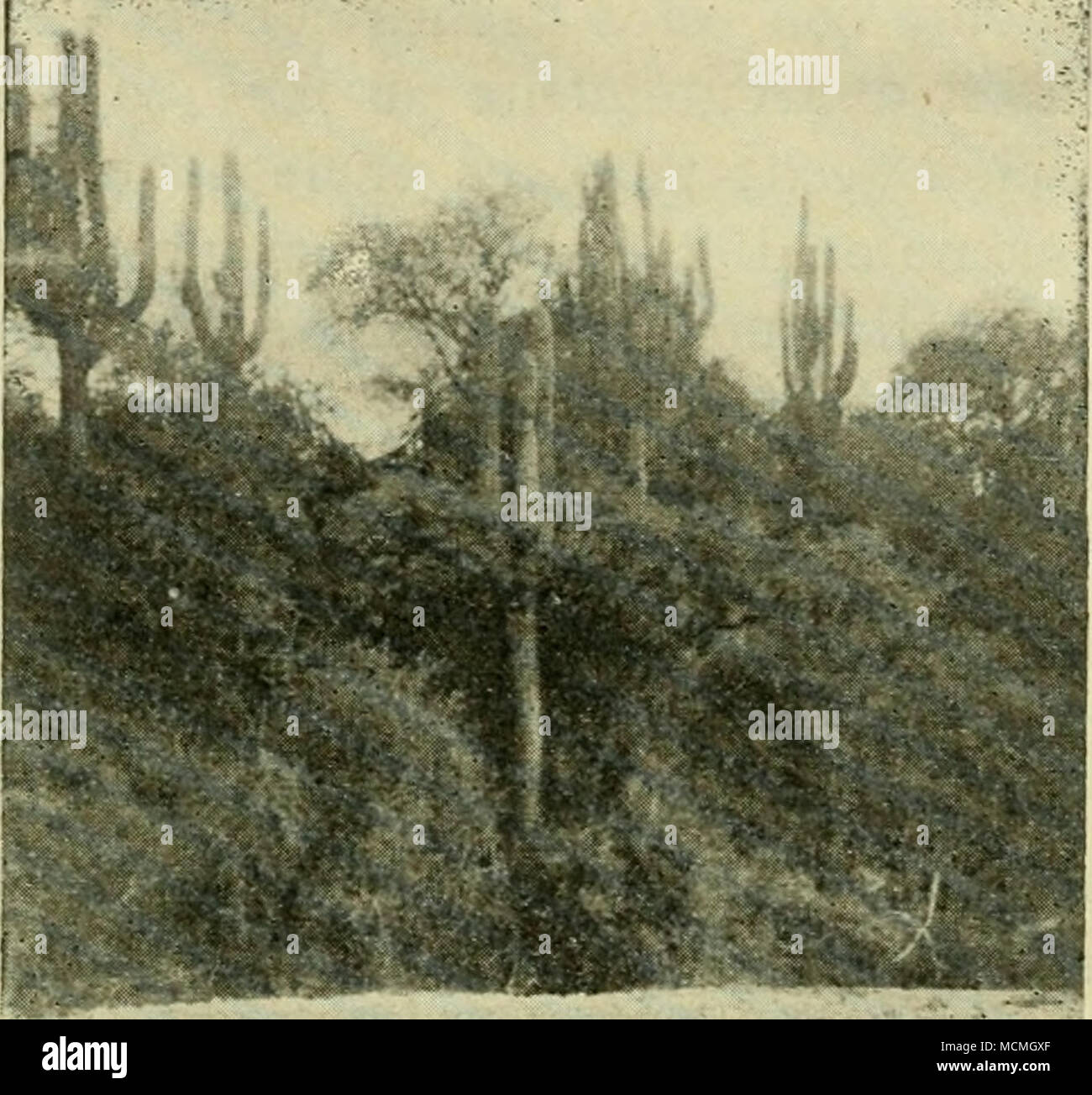 Ciudad de rio rocoso hi-res stock photography and images - Alamy