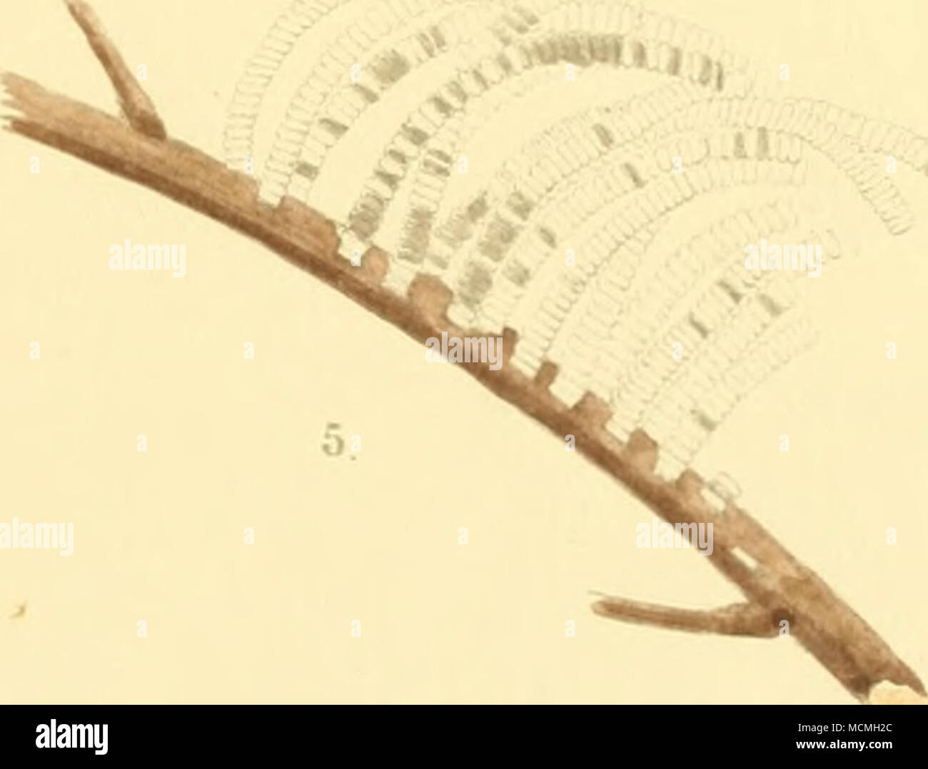 Kewn hi-res stock photography and images - Alamy