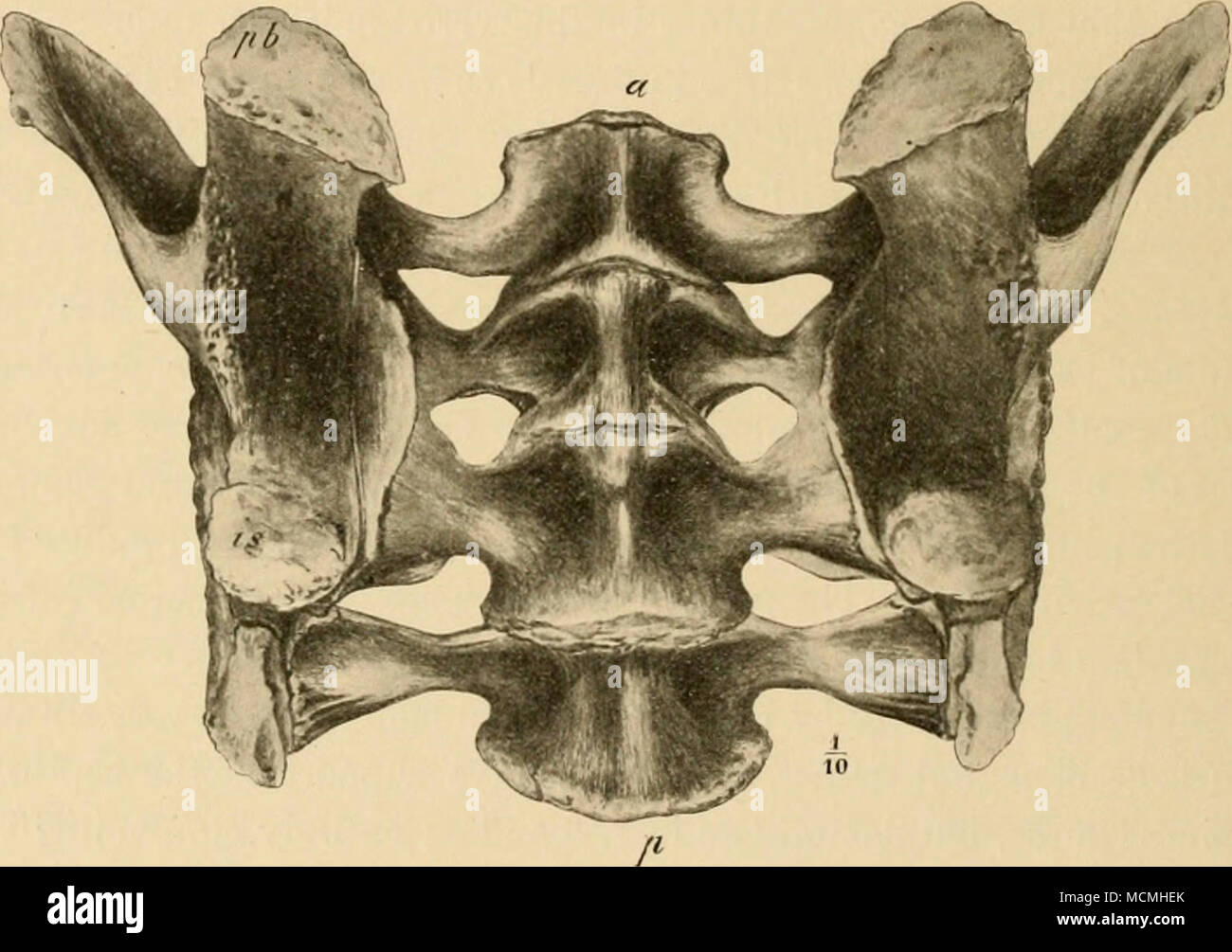 Moderate depth hi-res stock photography and images - Alamy