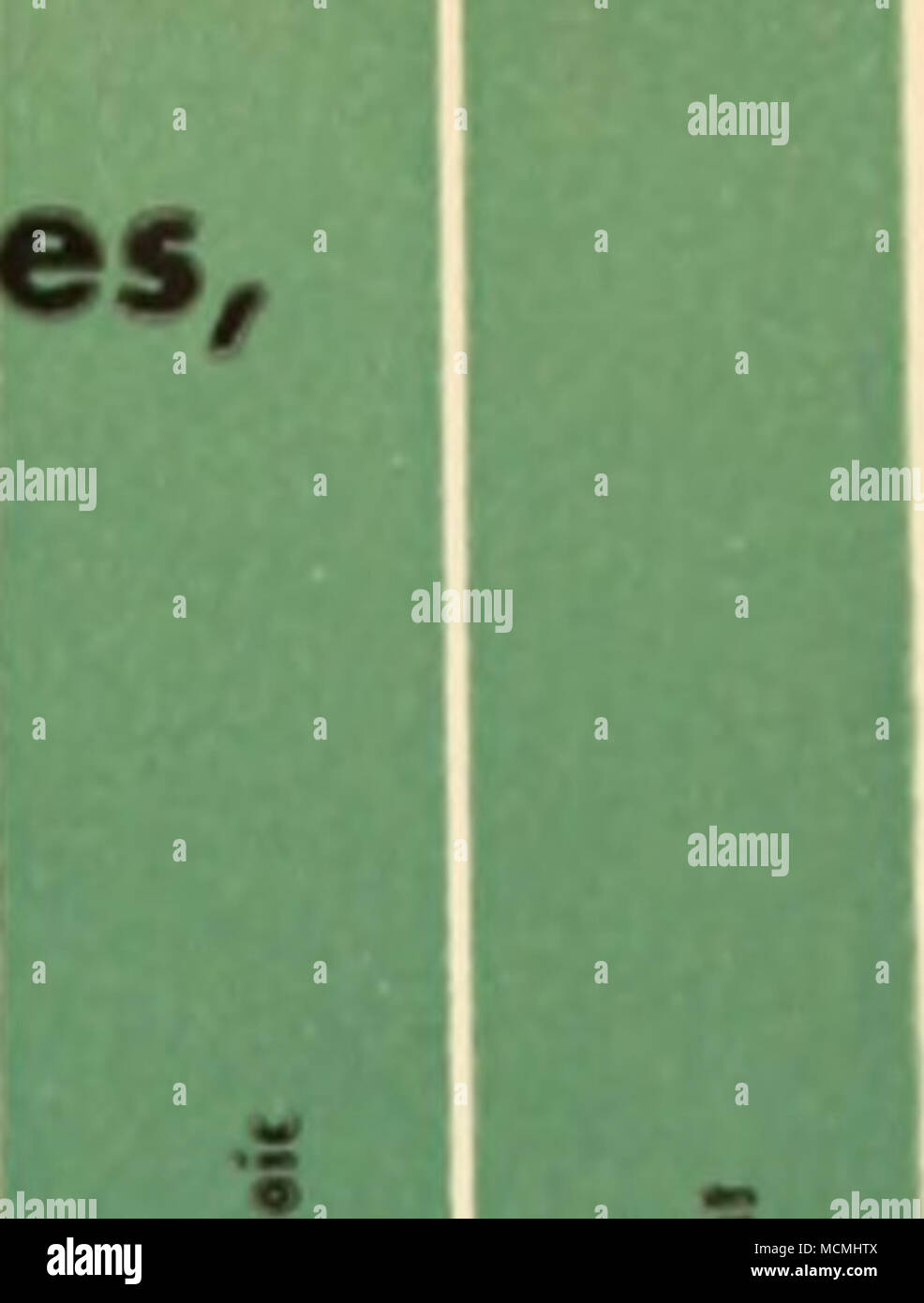 . CLASS AMPHIBIA *Order Labyrinthodontiaâroof-skulled amphibians *Order ...