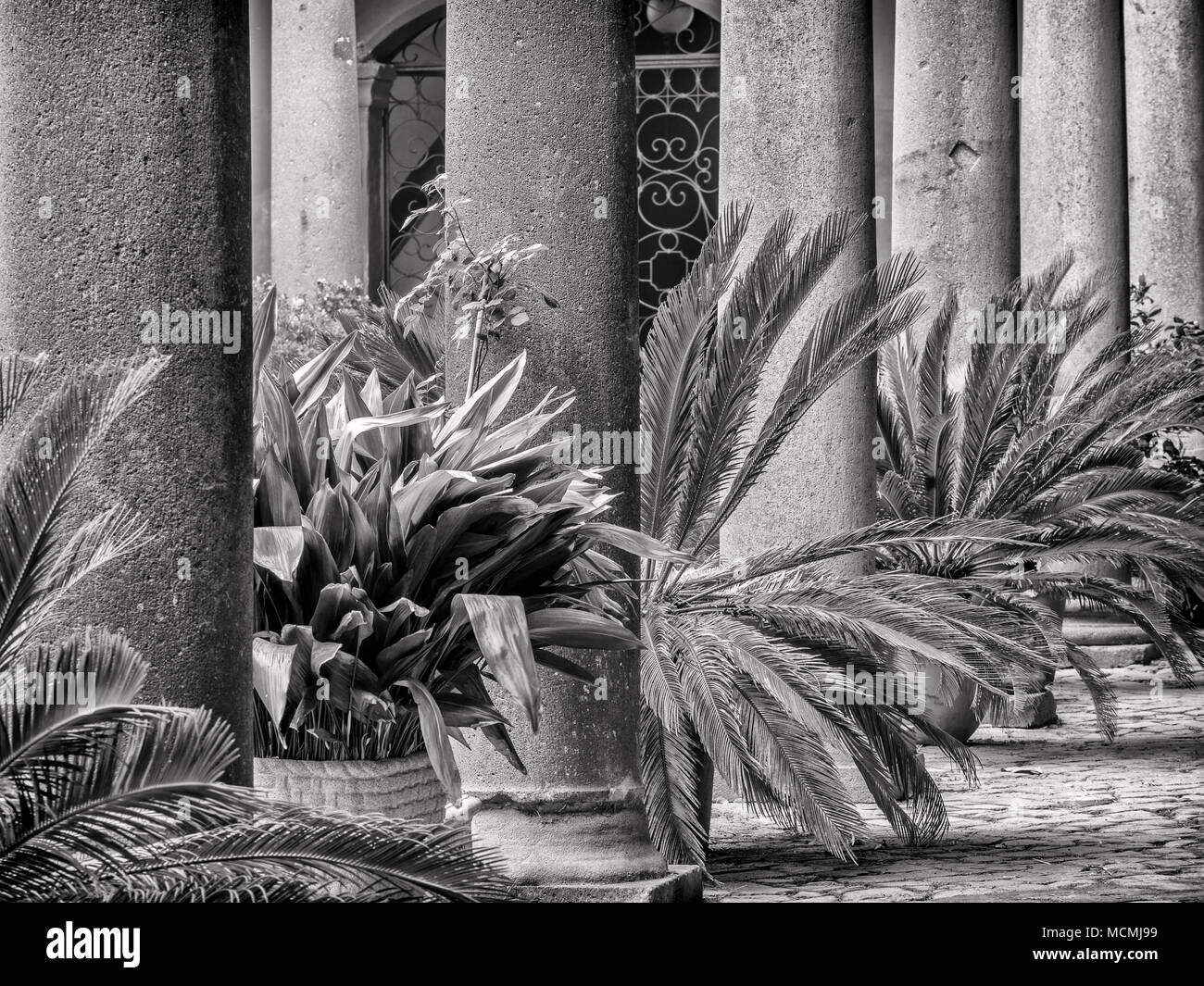 Tuscan colonnade hi-res stock photography and images - Alamy