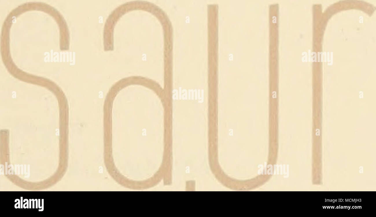 Charles R Knight High Resolution Stock Photography and Images - Alamy