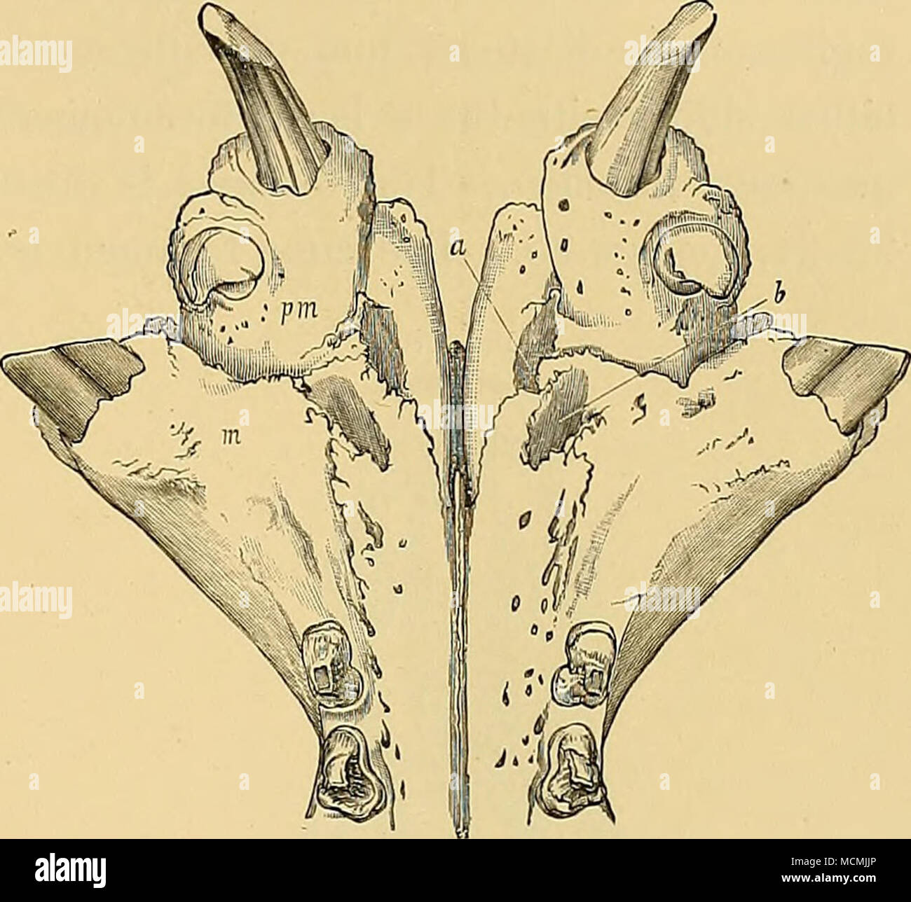 Flq hi-res stock photography and images - Alamy