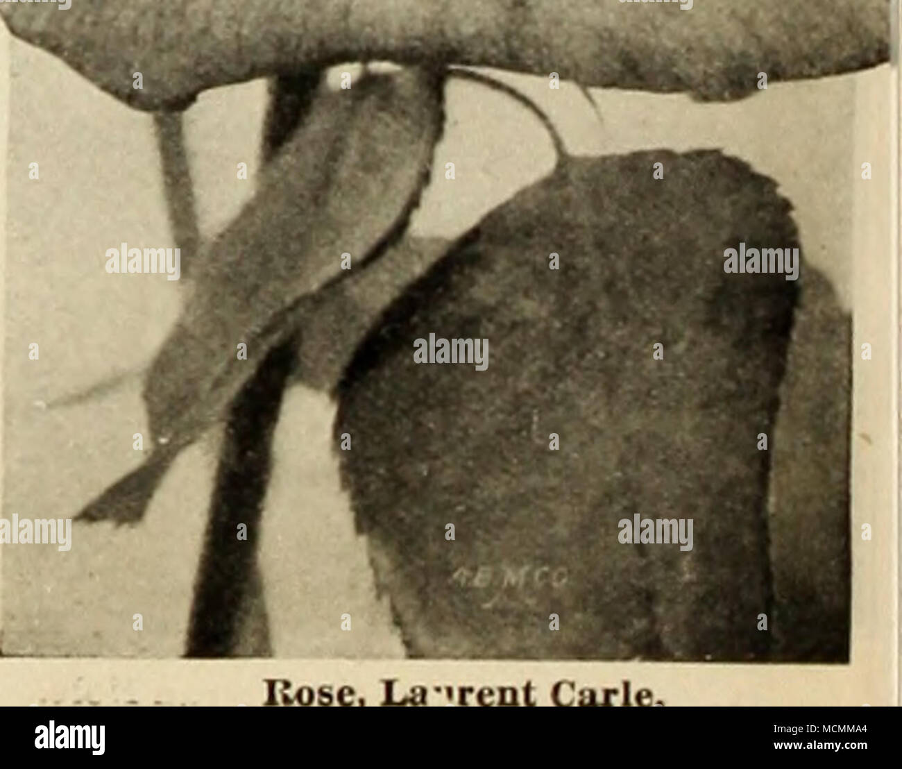 . Uose, La-Tent Carle. 26 Stock Photo - Alamy