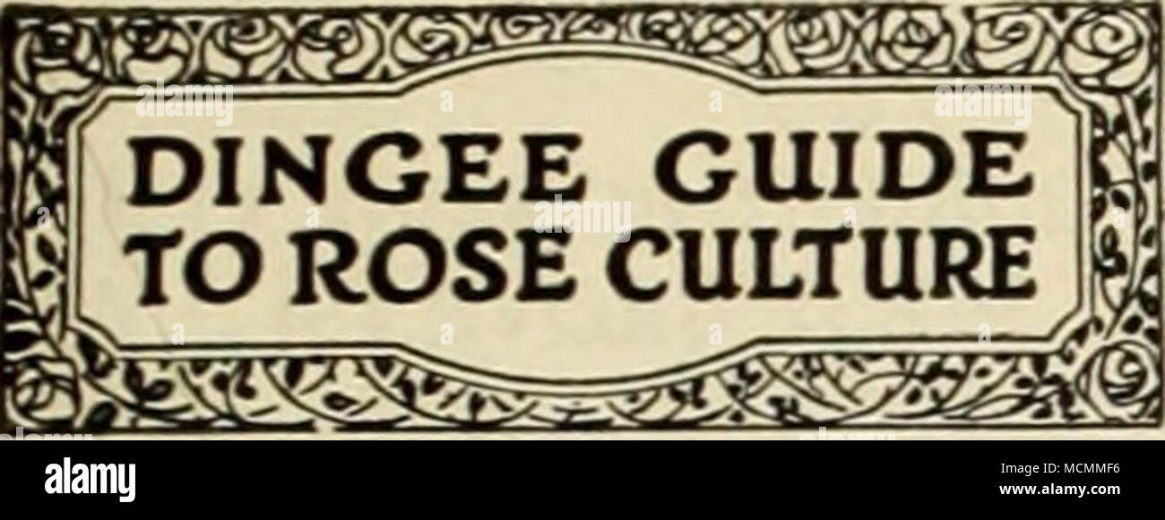 . Â«*â .ji- i^i: SS^sr-^felS-jfi^i. V!