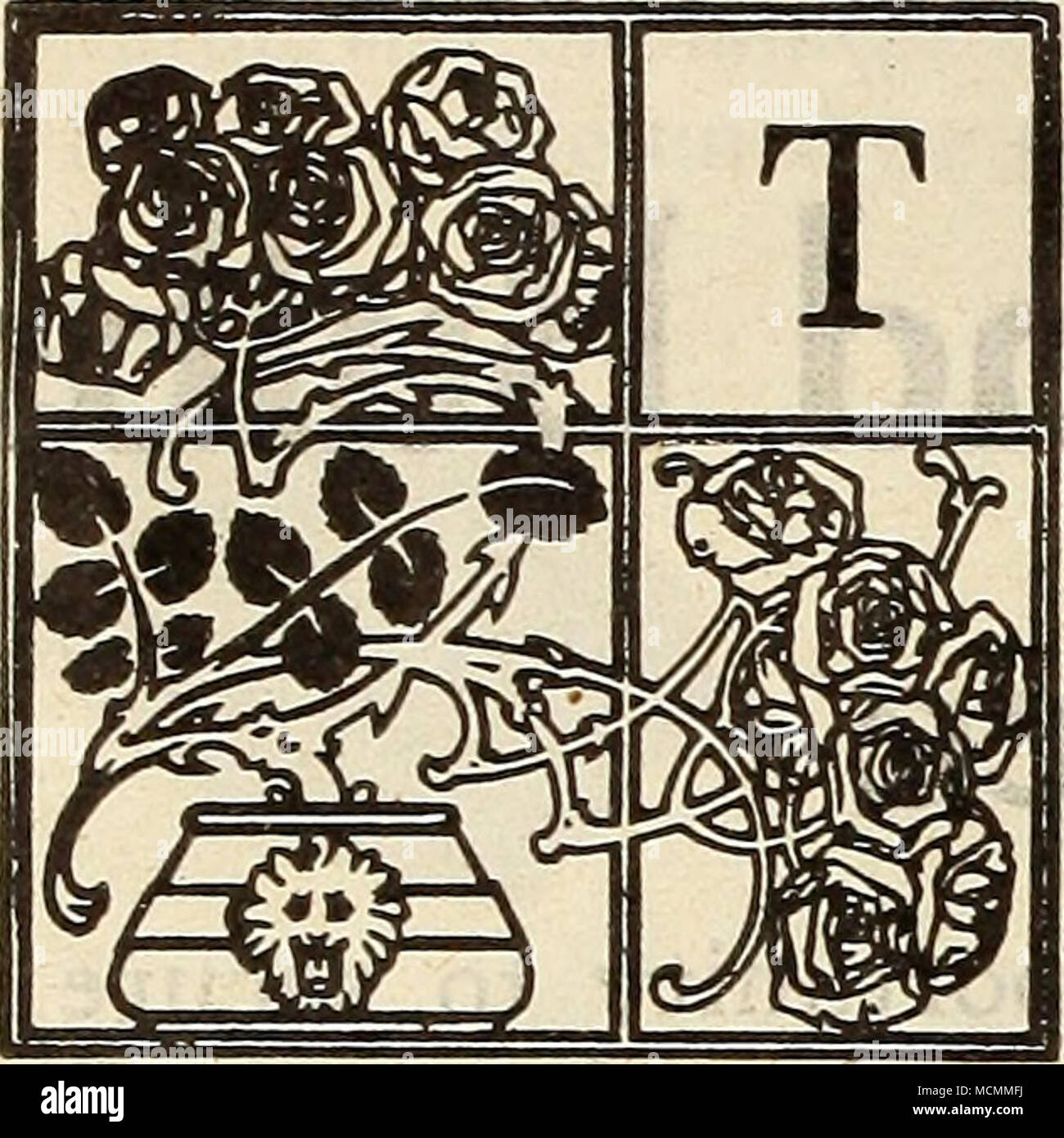 Weak roots hi-res stock photography and images - Alamy