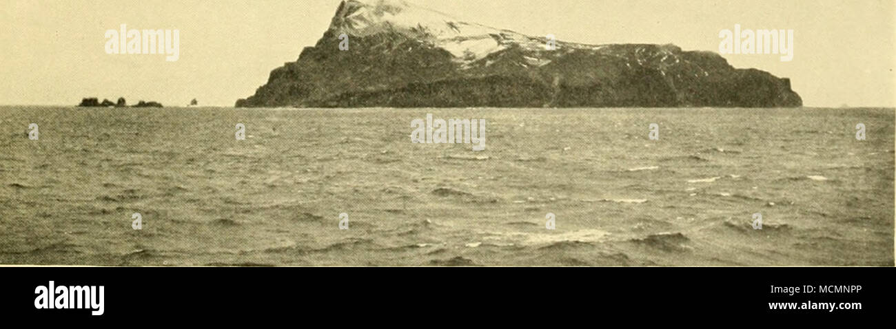 Candlemas islands hi-res stock photography and images - Alamy