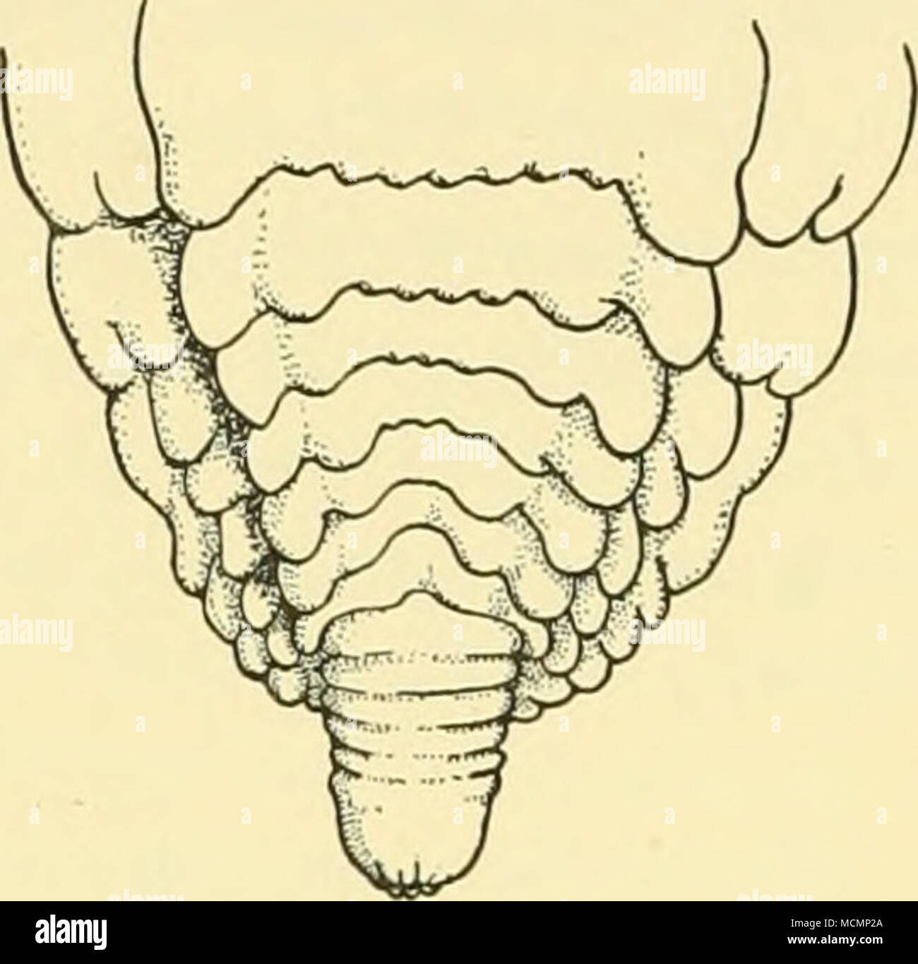 . a 3 mm Stock Photo - Alamy