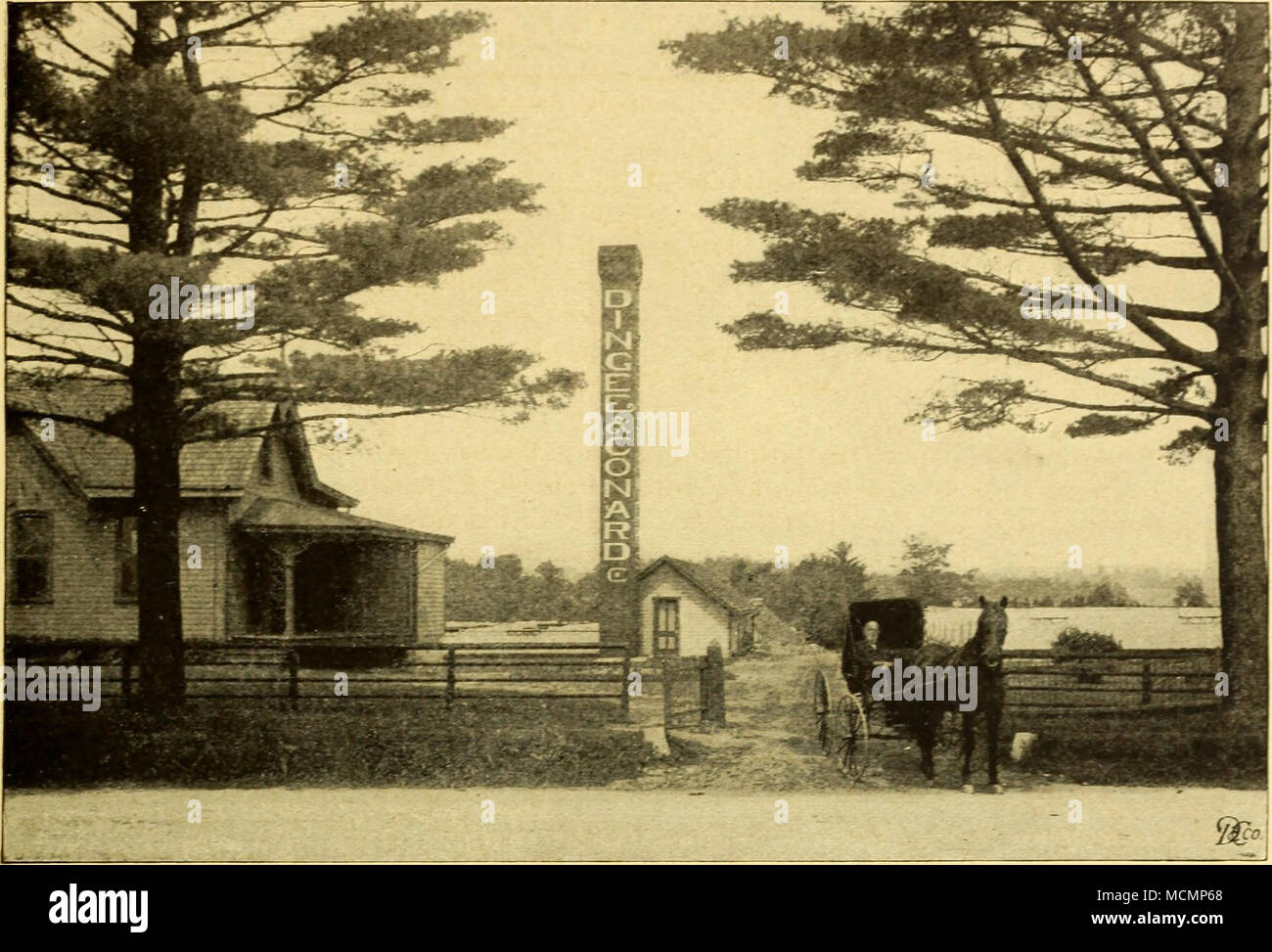 . Entrance to main driveway. Charles Dingee in the foreground I found a ...