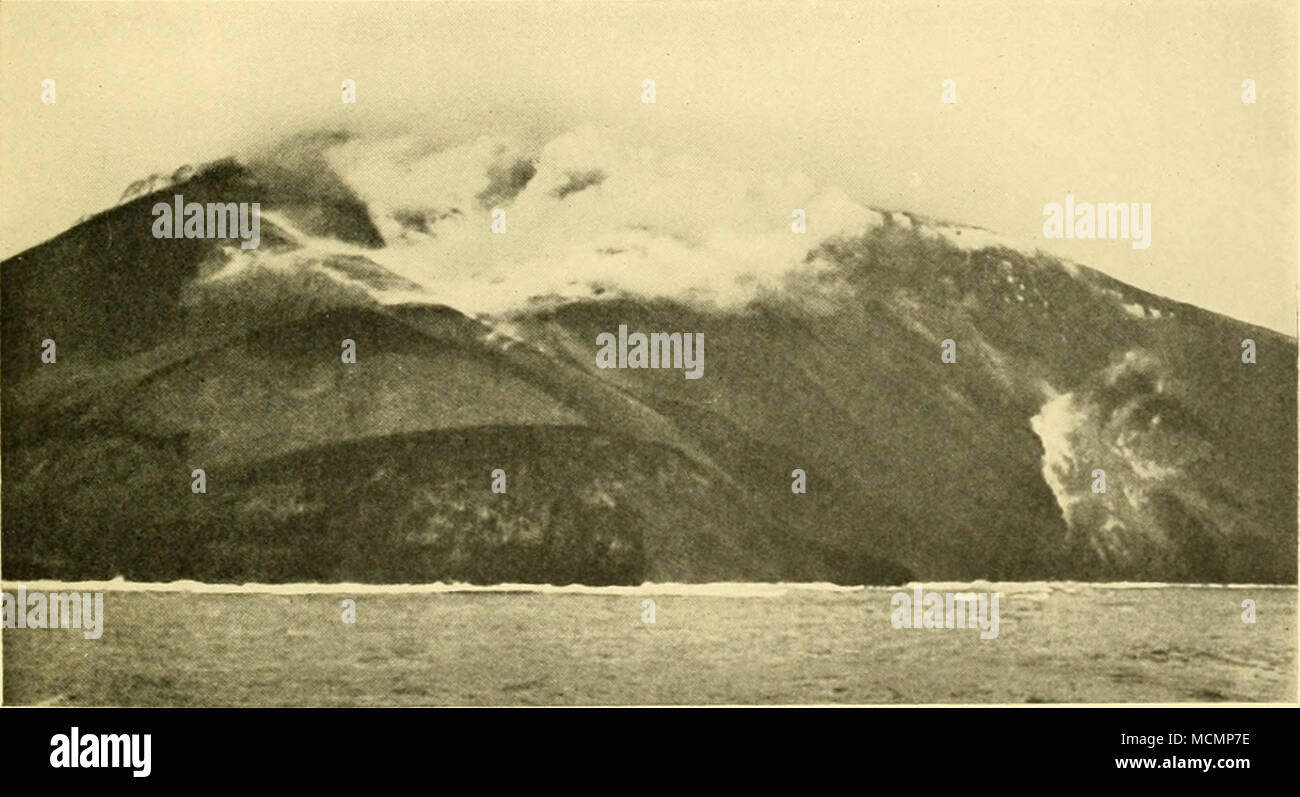 Zavodovski island hi-res stock photography and images - Alamy