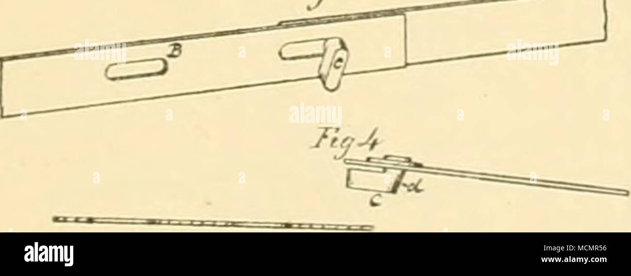 Noass hi-res stock photography and images - Alamy