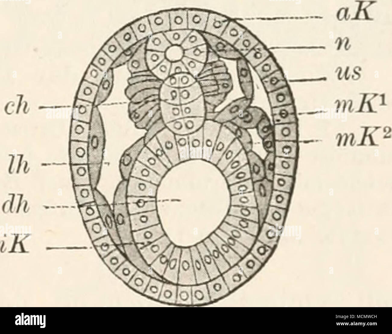 85 dh hi-res stock photography and images - Alamy