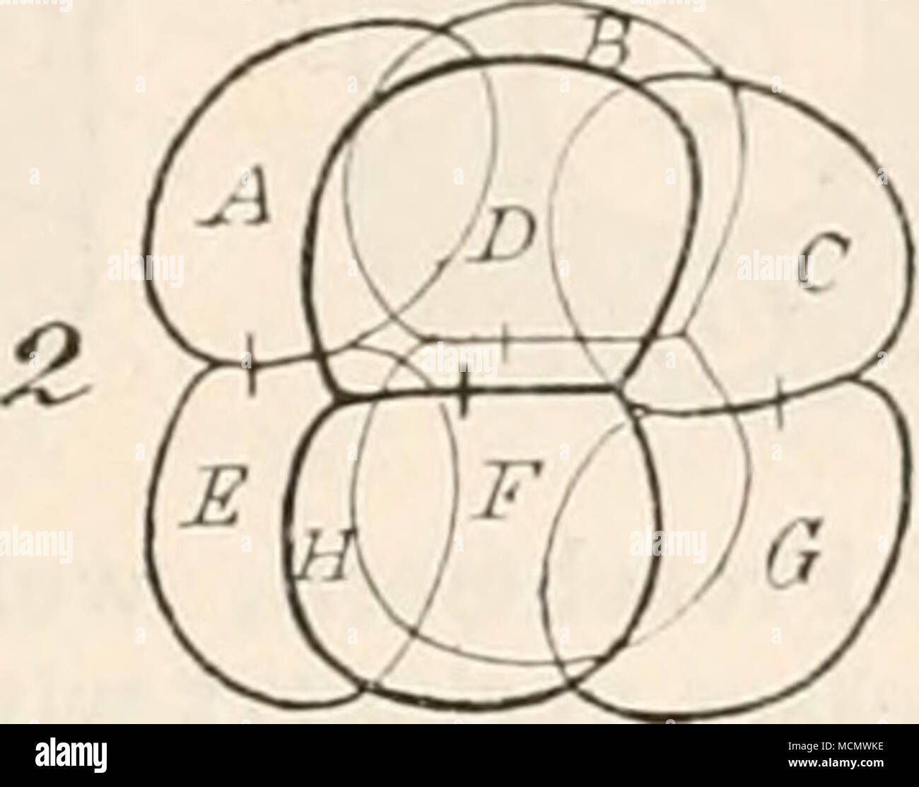 Ei gen hi-res stock photography and images - Alamy