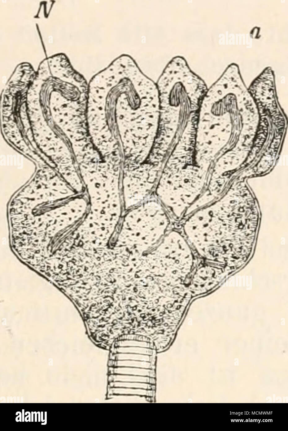 W 4 28 29 hi-res stock photography and images - Alamy