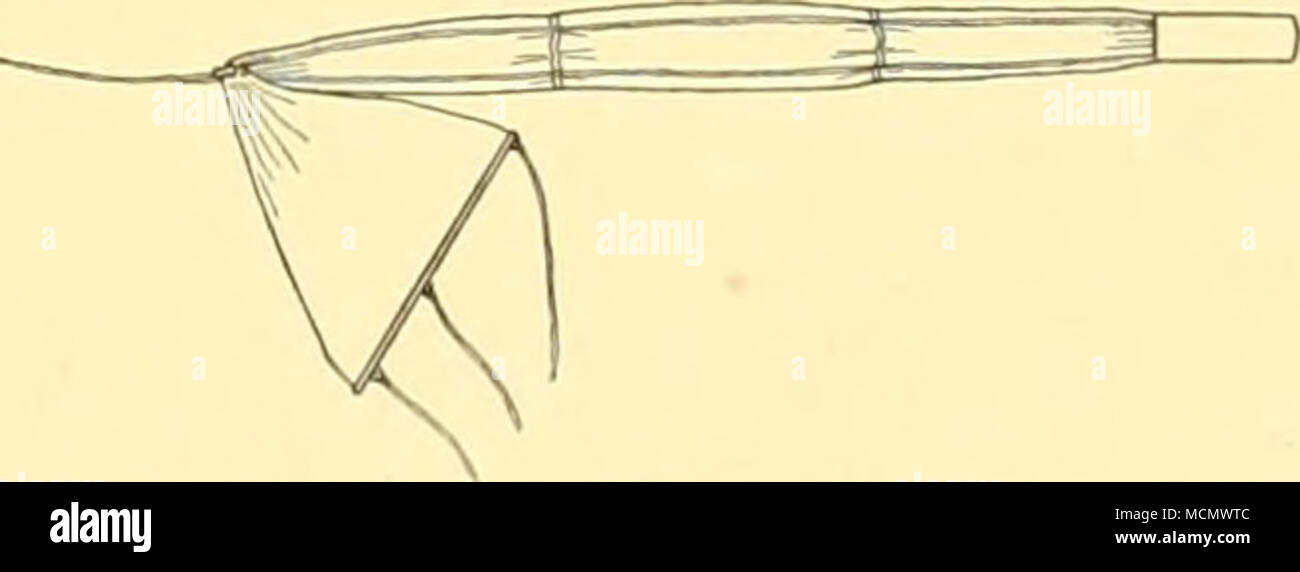 . Fig. 6. Diagram of general tow-net design; for explanation see text ...