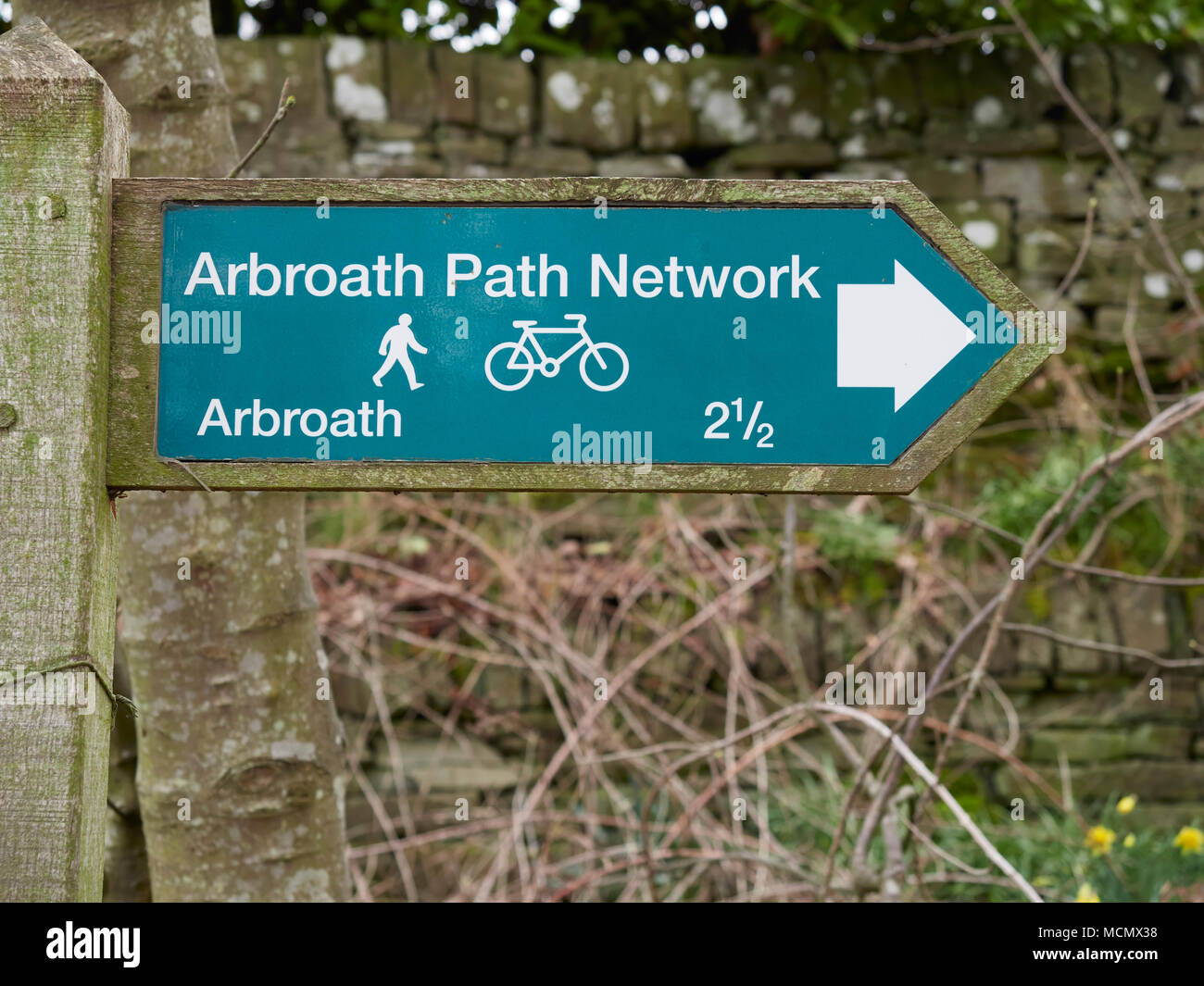 Green faced wooden sign hi-res stock photography and images - Alamy