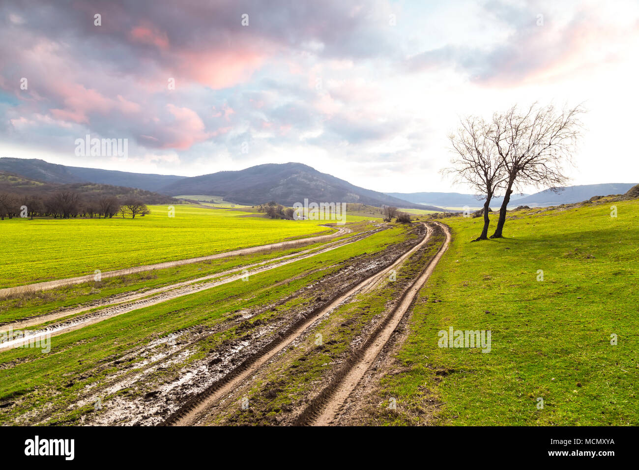 Country road through the field on a rainy day of spring Stock Photo - Alamy