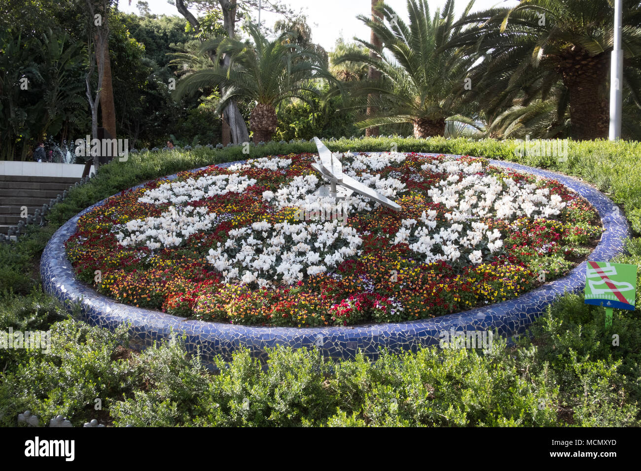 Clock flower hi-res stock photography and images - Alamy
