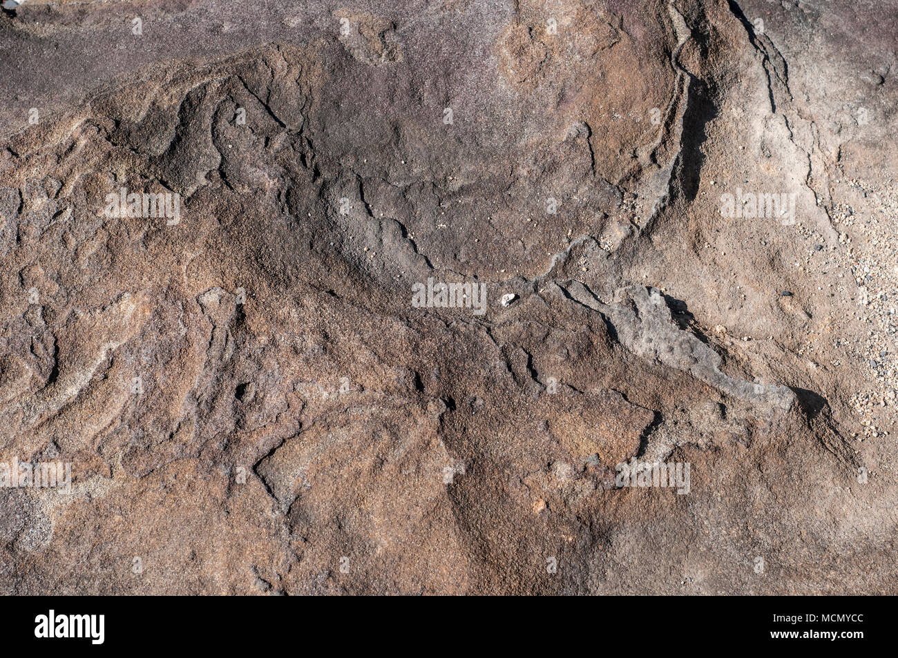 Weathered Sandstone rock, close up Stock Photo - Alamy