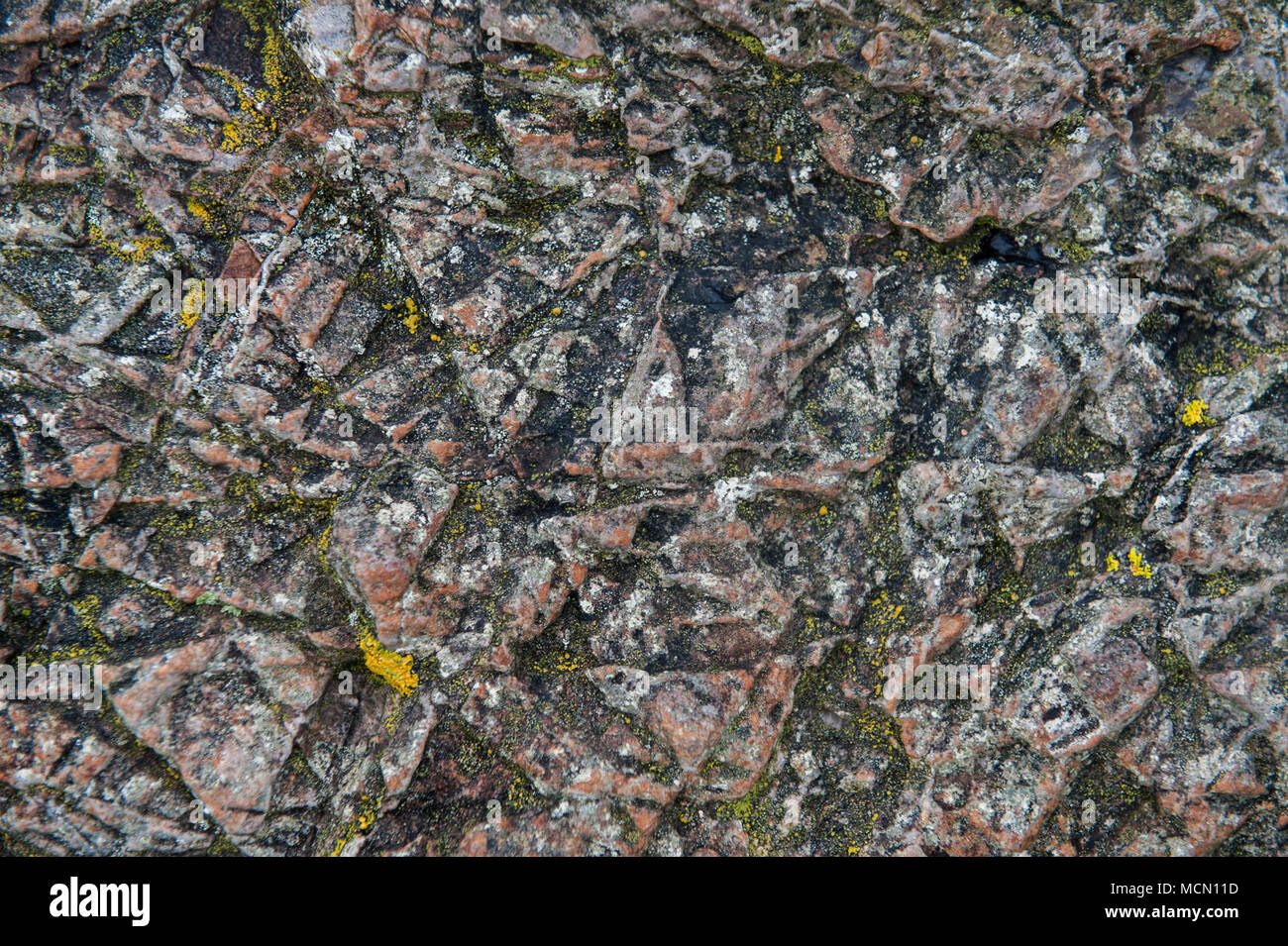 Weathered Sandstone rock, close up Stock Photo - Alamy