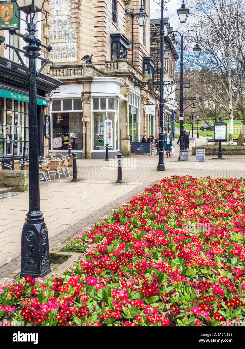 Spring Flowers in The Montpellier Quarter at Harrogate North Yorkshire ...
