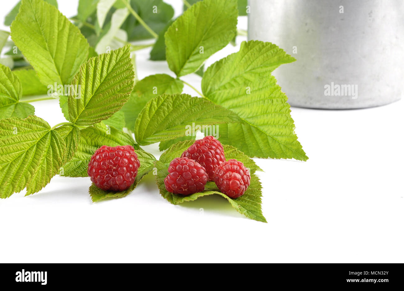 Red raspberries with tin bucket and leaves on white Stock Photo - Alamy