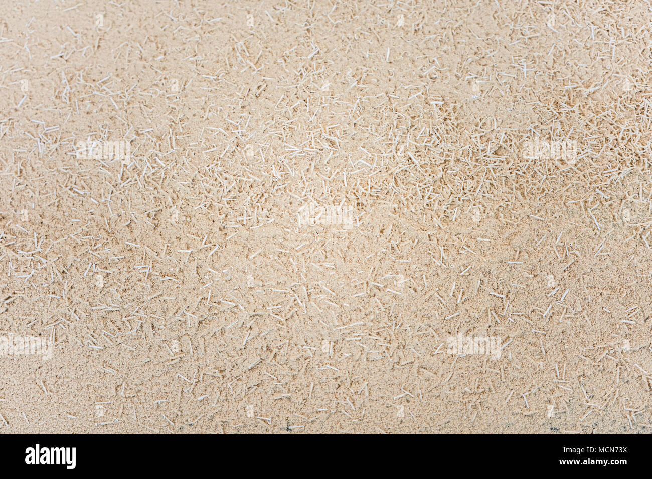 Saw overhead hi-res stock photography and images - Alamy