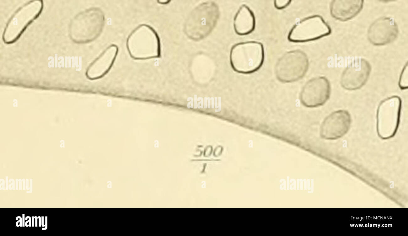 . /2 /4 Stock Photo - Alamy