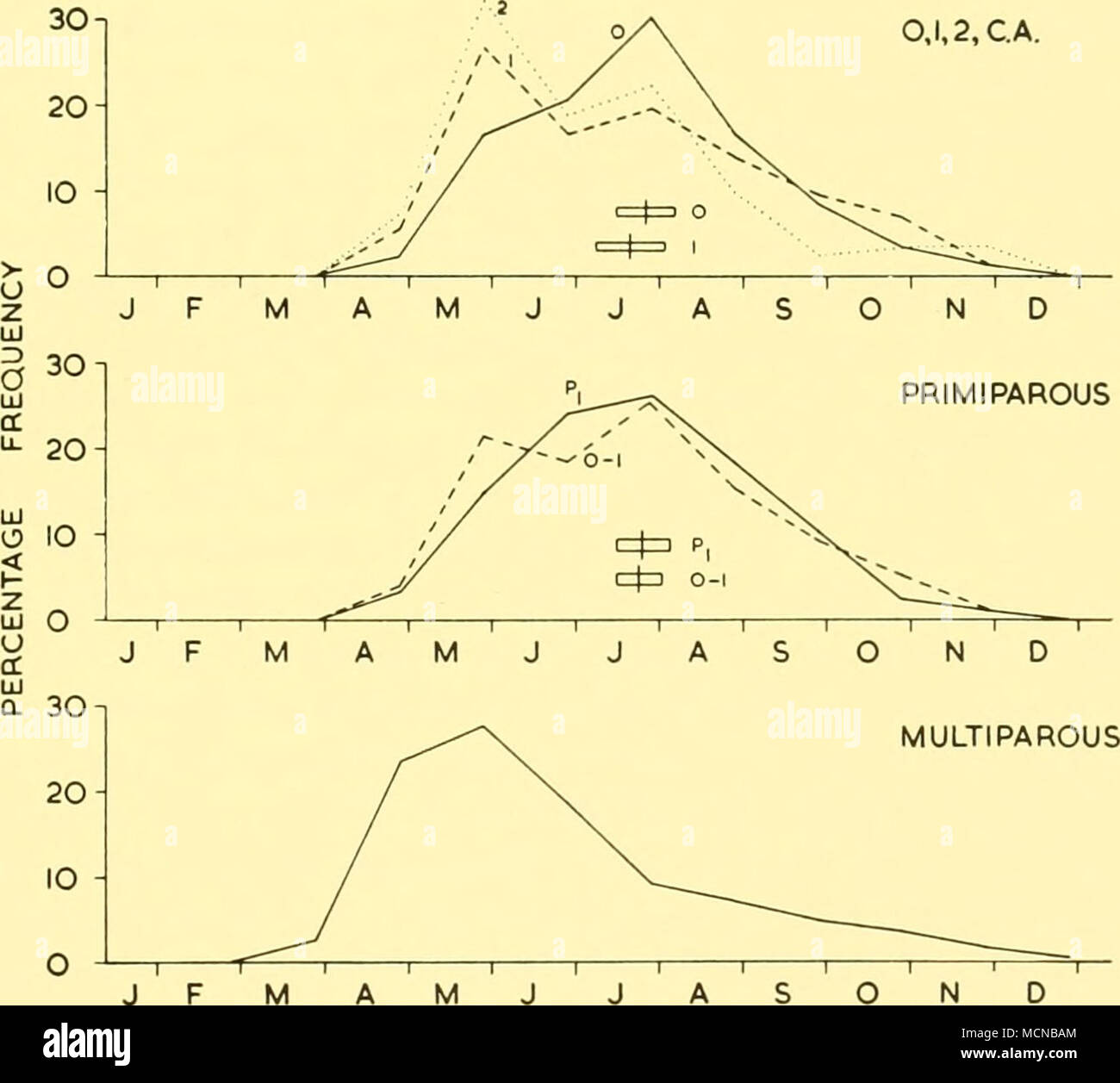 . J F M J J A MONTHS Text-fig. 37. Monthly frequencies of conception ...