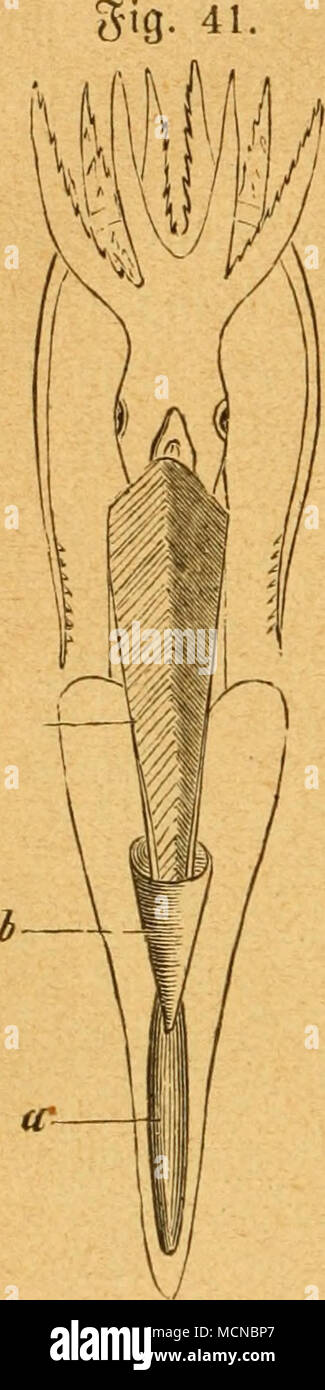 Gifl hi-res stock photography and images - Alamy