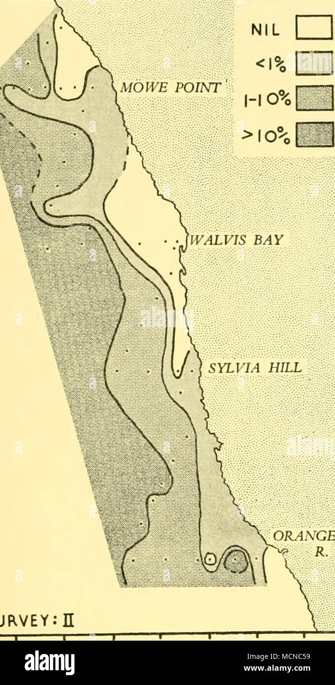 . SURVEY 1 I0« 15' EAST Fig. 93. Distribution of Thalassiothrix ...