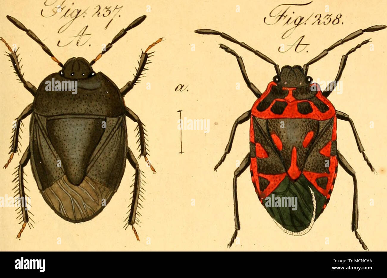 . iMi^. Ä'T^o Stock Photo - Alamy