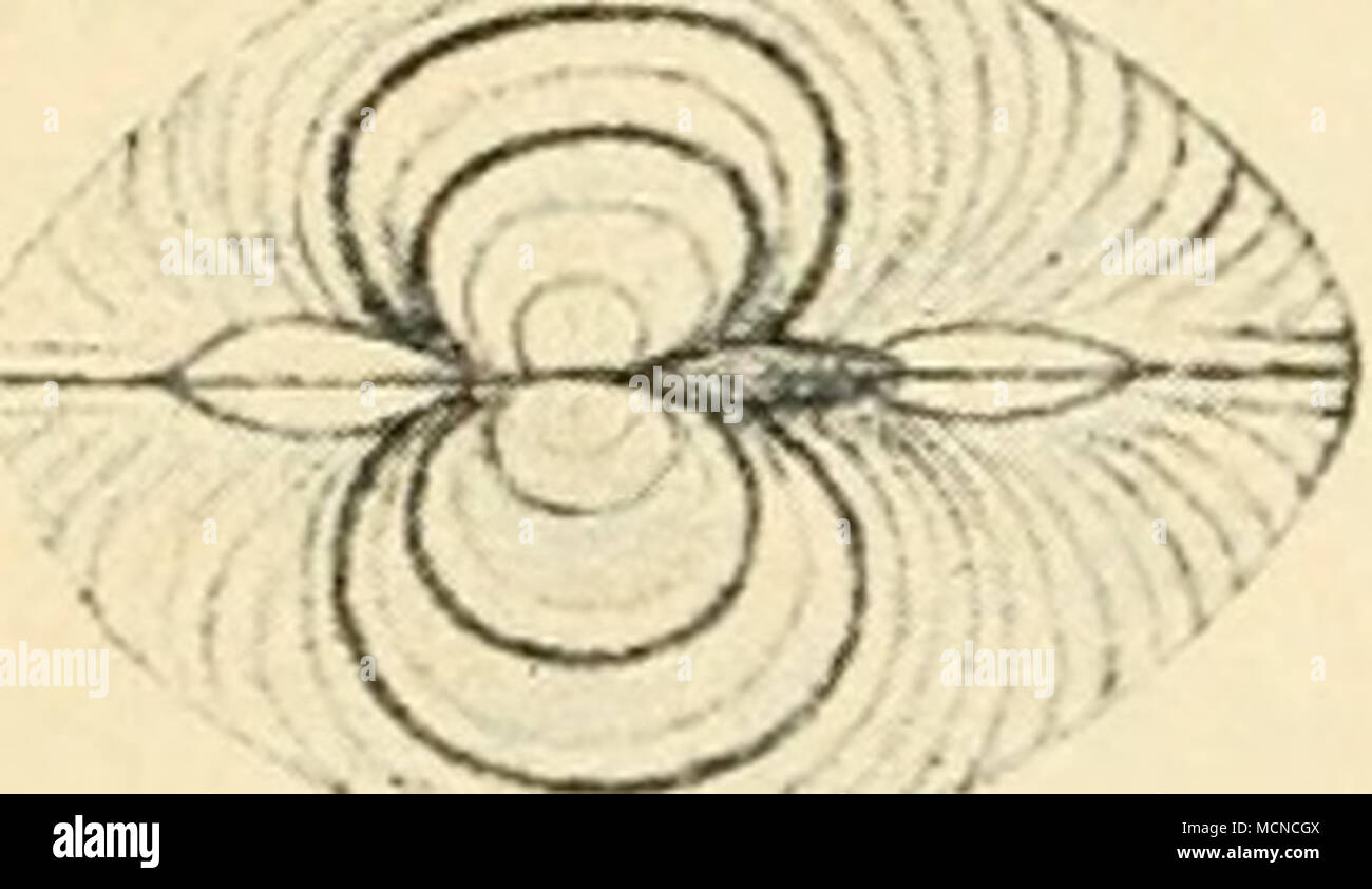 Rivicola hi-res stock photography and images - Alamy