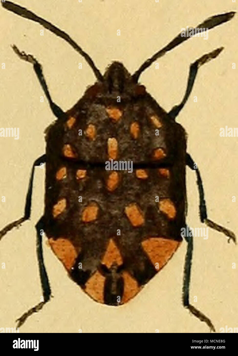 34p hi-res stock photography and images - Alamy