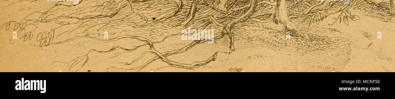 . 0, £4.. 26 Shsv Y/.i/;////isZ