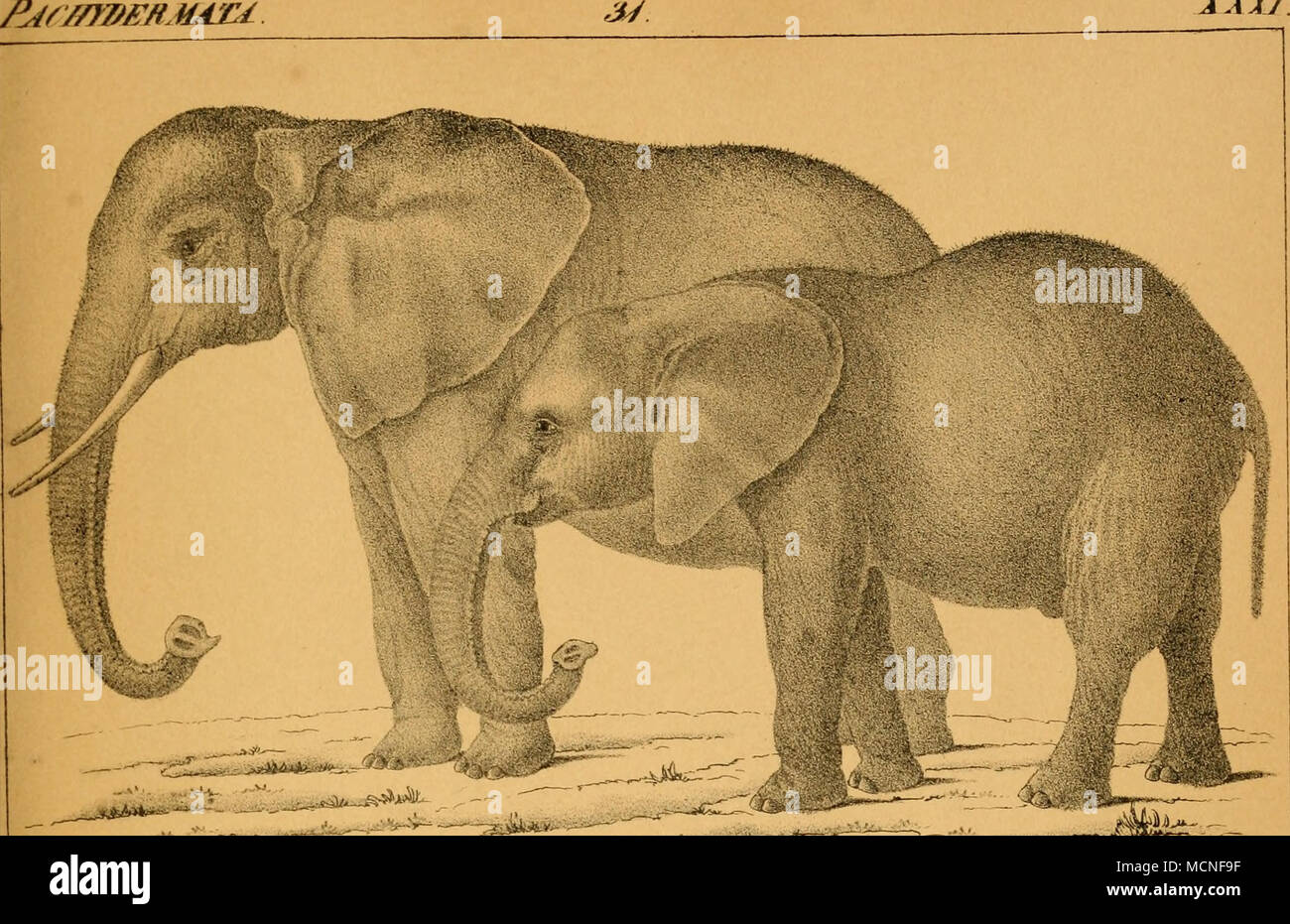 . ^Smmm //#.* Stock Photo - Alamy