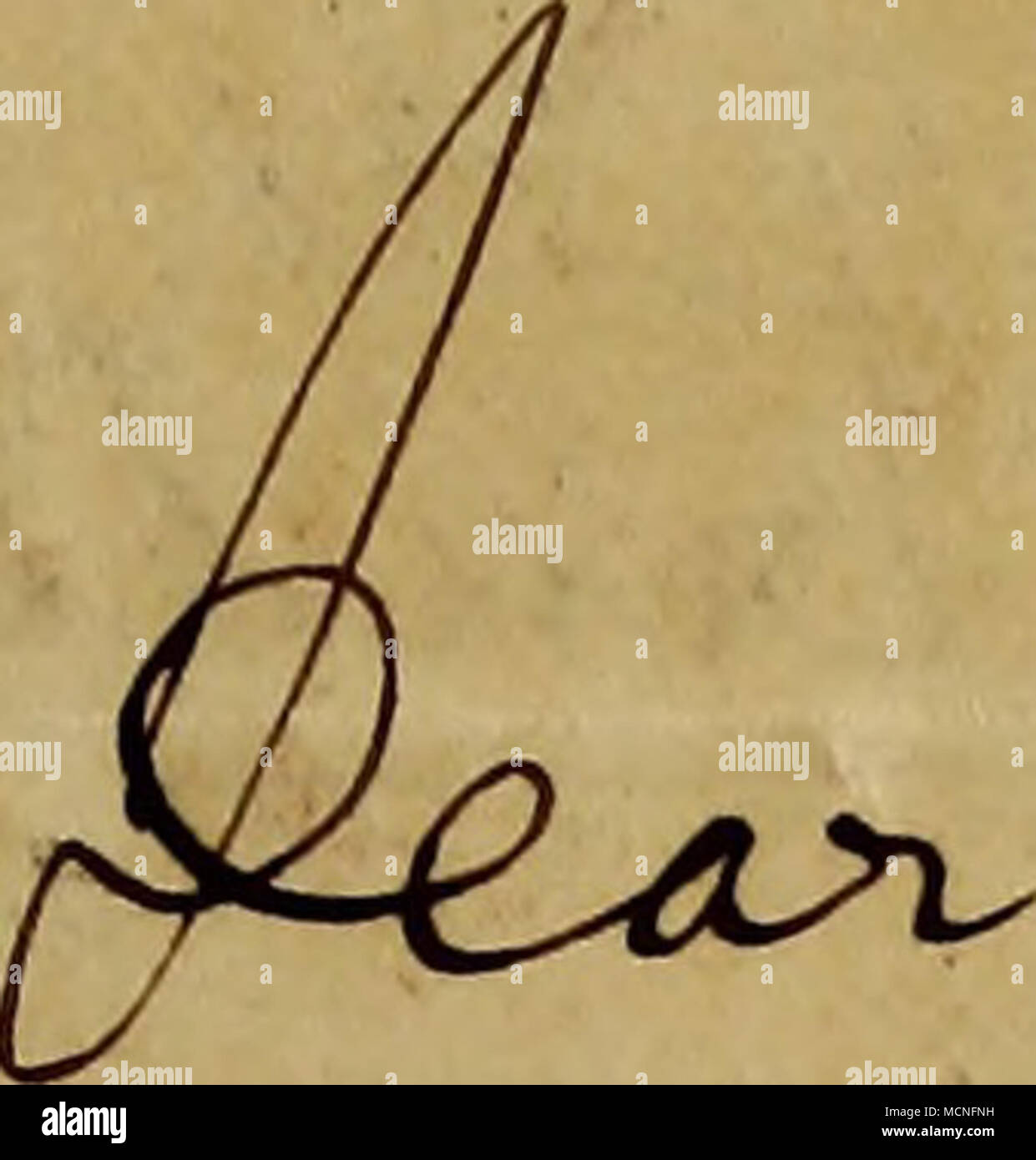 Turt hi-res stock photography and images - Alamy