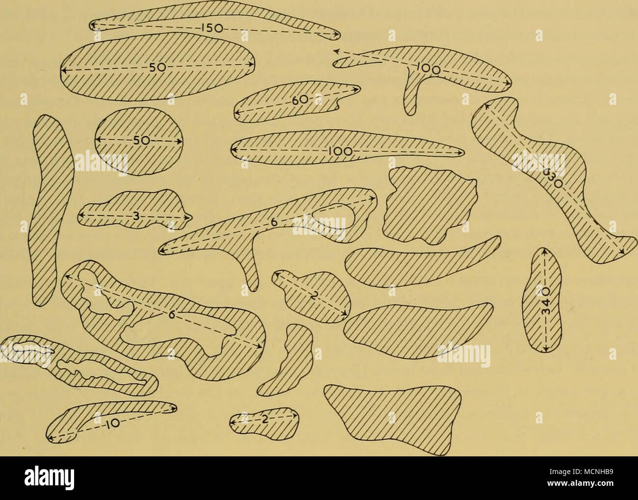 Present approximate dimensions hi-res stock photography and images - Alamy