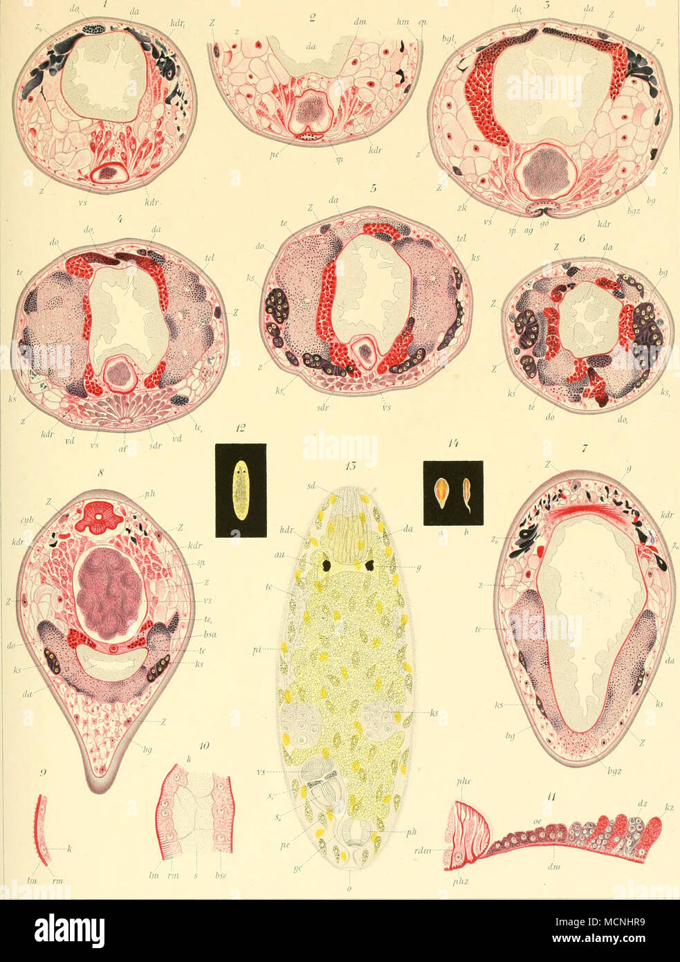 . Im rm '/fi-hi'j vnn l/'j'.itv'.'/'rn.'r i Wi^f./r. Pri'-Mift'm Stock ...