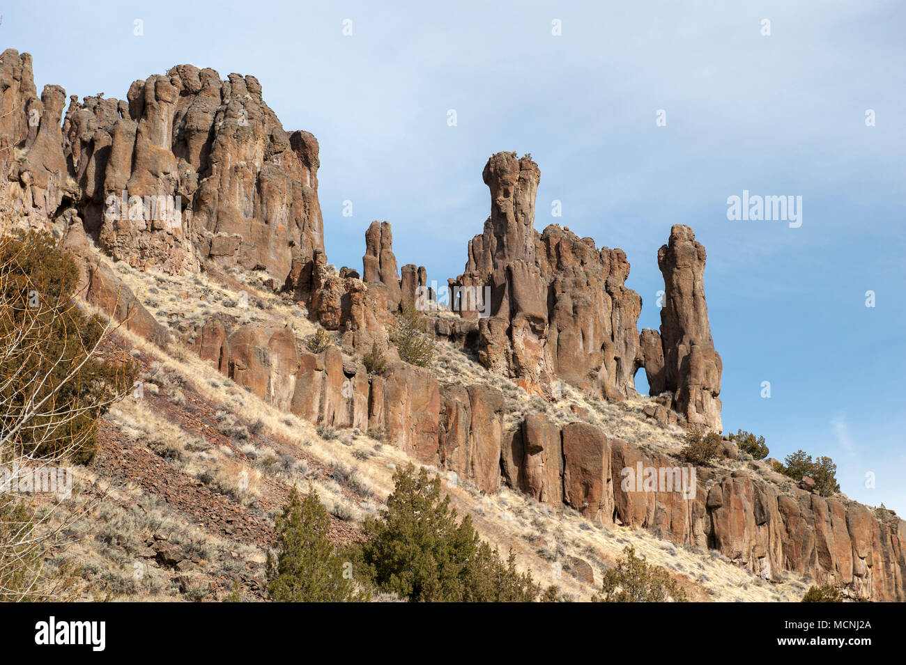 Spires of volcanic tuff in Jarbidge Canyon, Nevada Stock Photo - Alamy