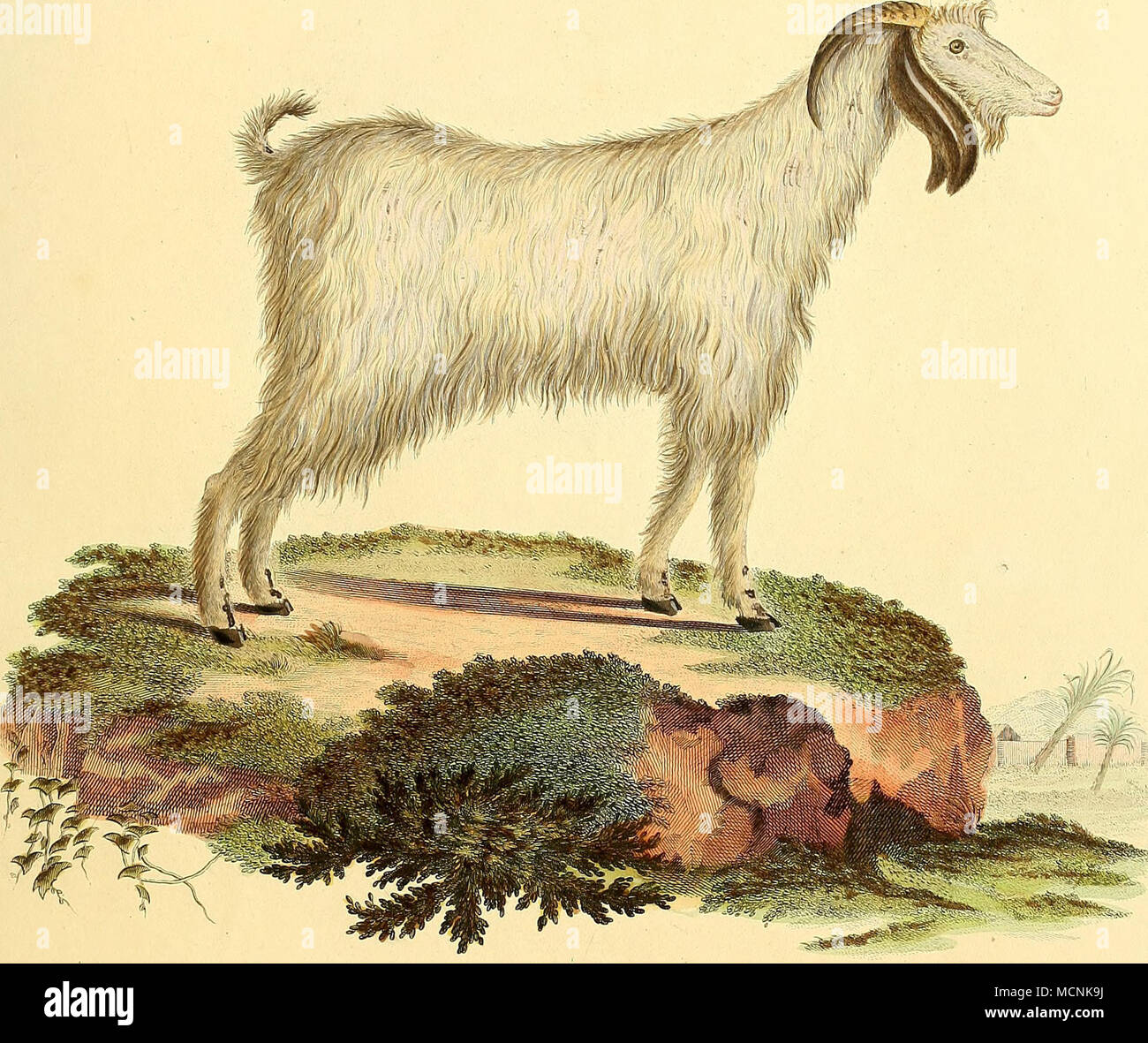 Vxw hi-res stock photography and images - Alamy