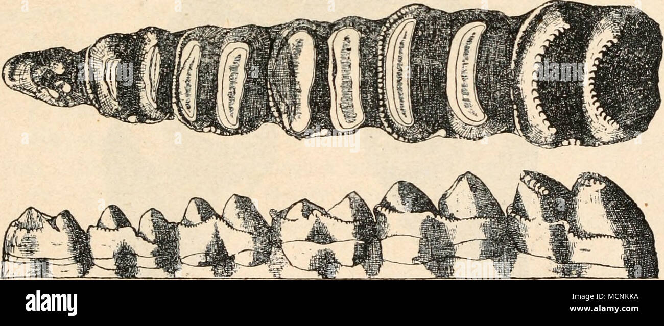 Schwache schichten hi-res stock photography and images - Alamy