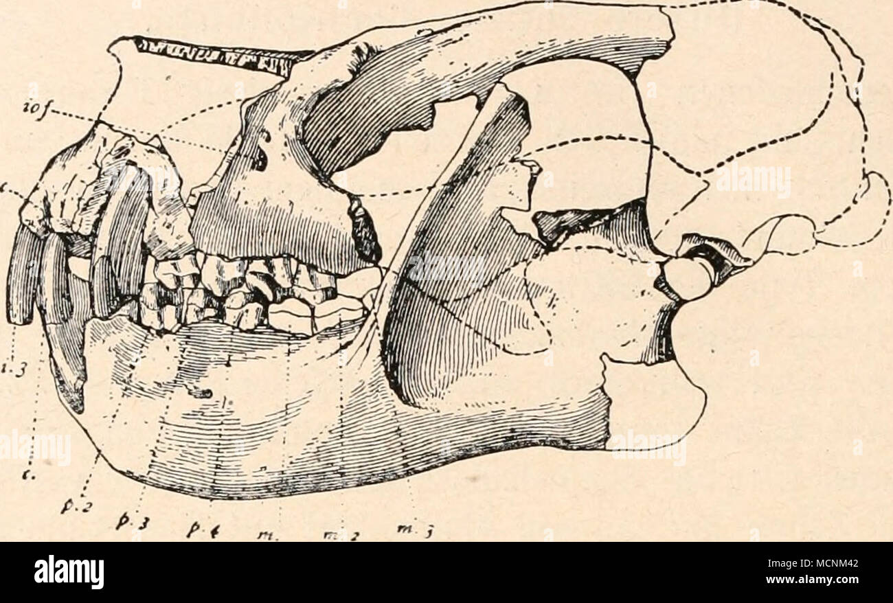 Neumexiko hi-res stock photography and images - Alamy