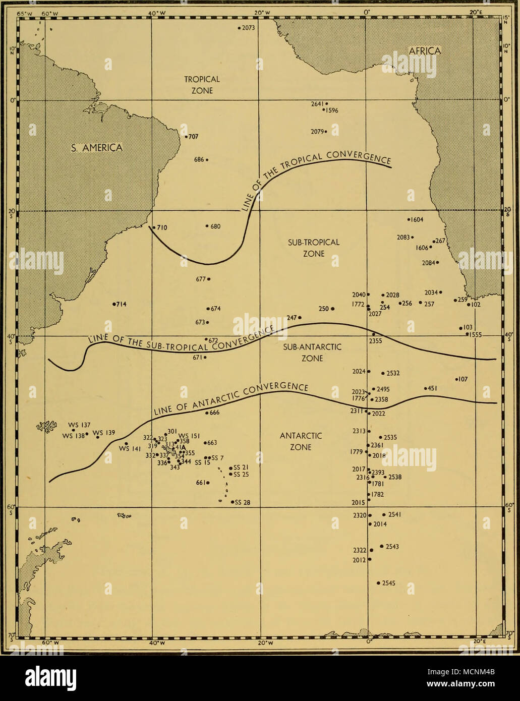 Tomopteris High Resolution Stock Photography and Images - Alamy