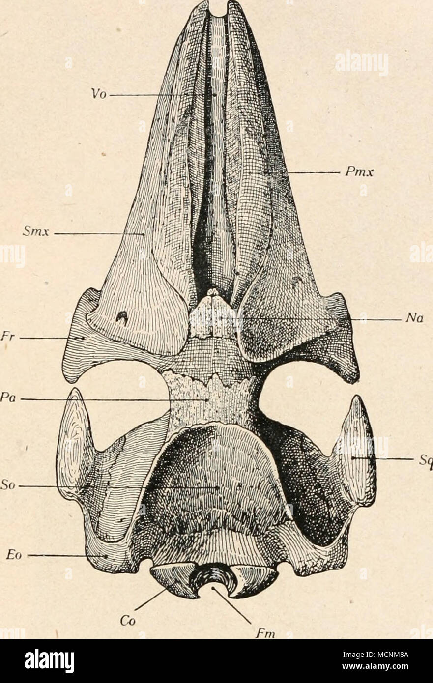 Sieben stucke hi-res stock photography and images - Alamy