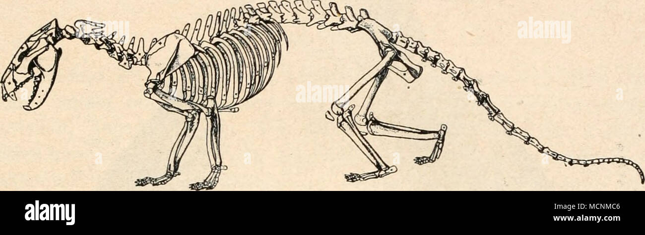 Oberkreide hi-res stock photography and images - Alamy