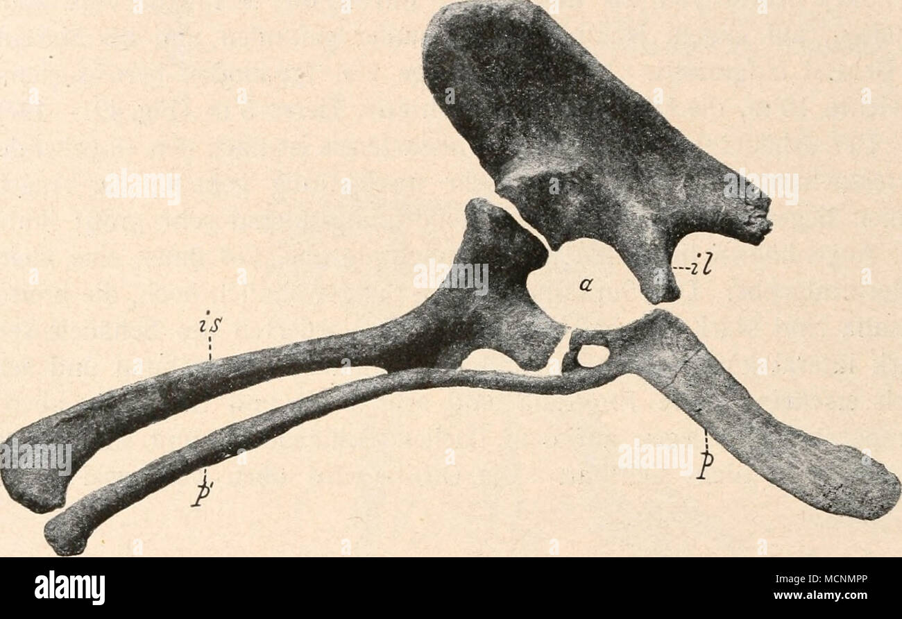 Funktionieren hi-res stock photography and images - Alamy